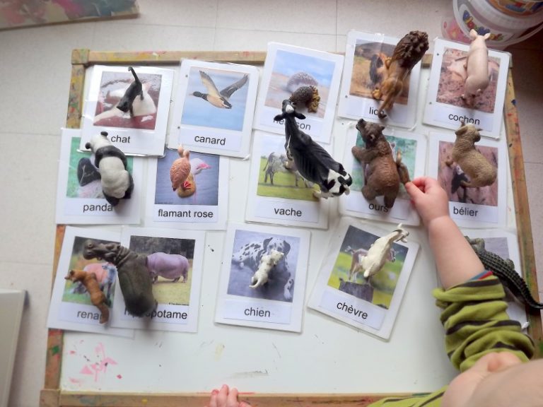 Nos cartes de nomenclatures Montessori, investissement dans le temps