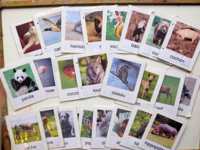 Nos cartes de nomenclatures Montessori, investissement dans le temps