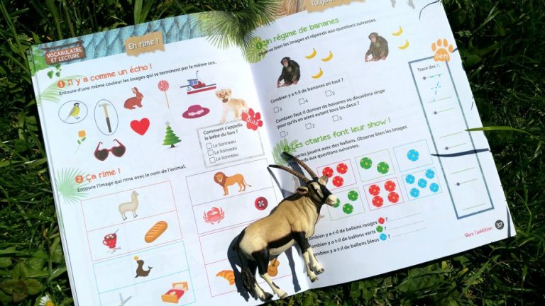 Des cahiers de vacances, une saison au Zoo, réviser avec les animaux