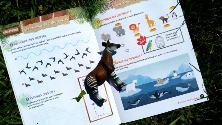 Des cahiers de vacances, une saison au Zoo, réviser avec les animaux