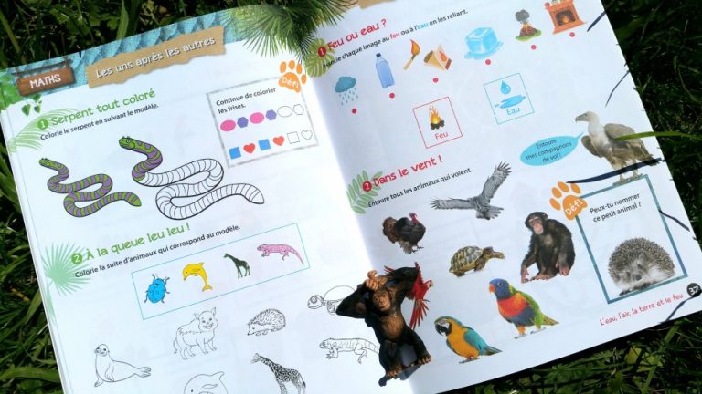 Des cahiers de vacances, une saison au Zoo, réviser avec les animaux